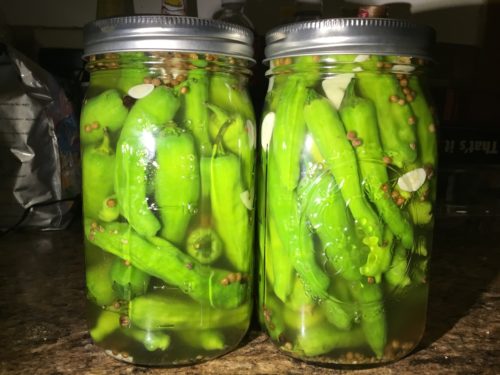 Pickled Shishito Peppers - STONED SOUP